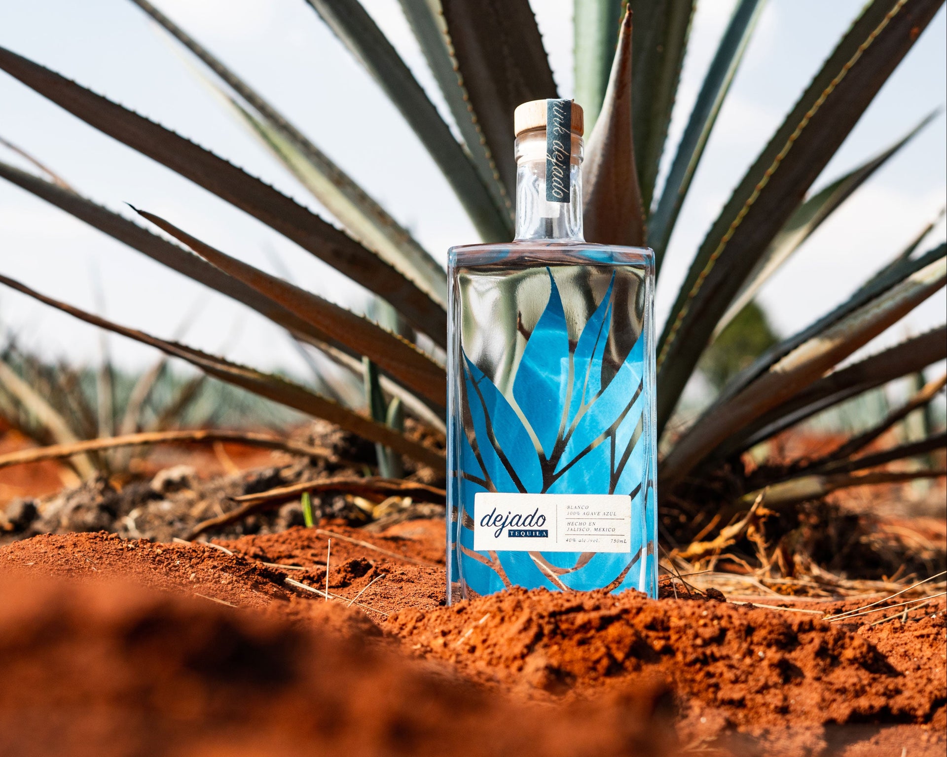 Dejado Tequila – The Bottle Shop - Lost Craft, High Park, Dejado ...